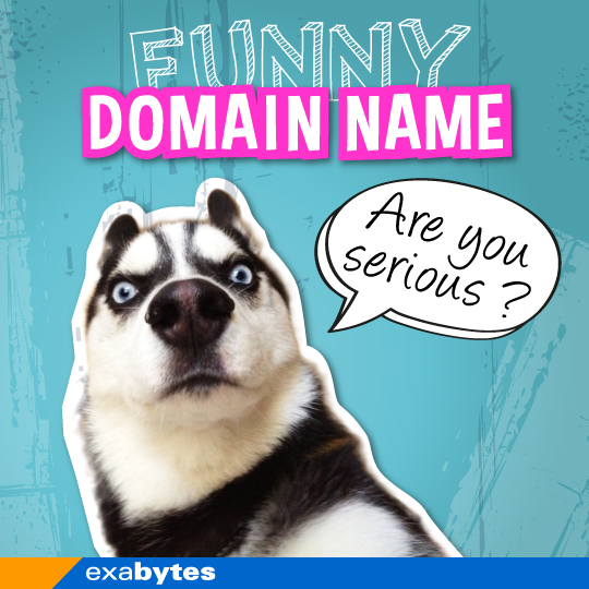 5 Funny Domain Name: Are You Serious? | Exabytes.SG Blog